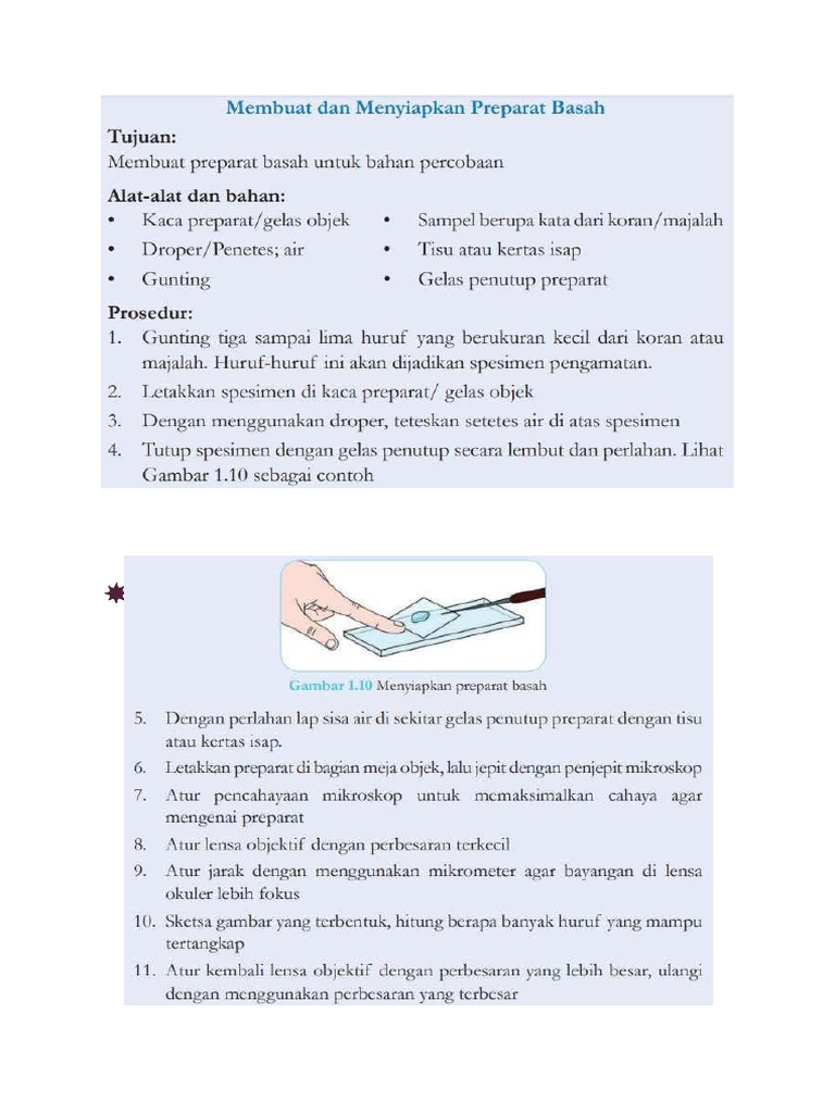 LKPD Preparat Basah | PDF