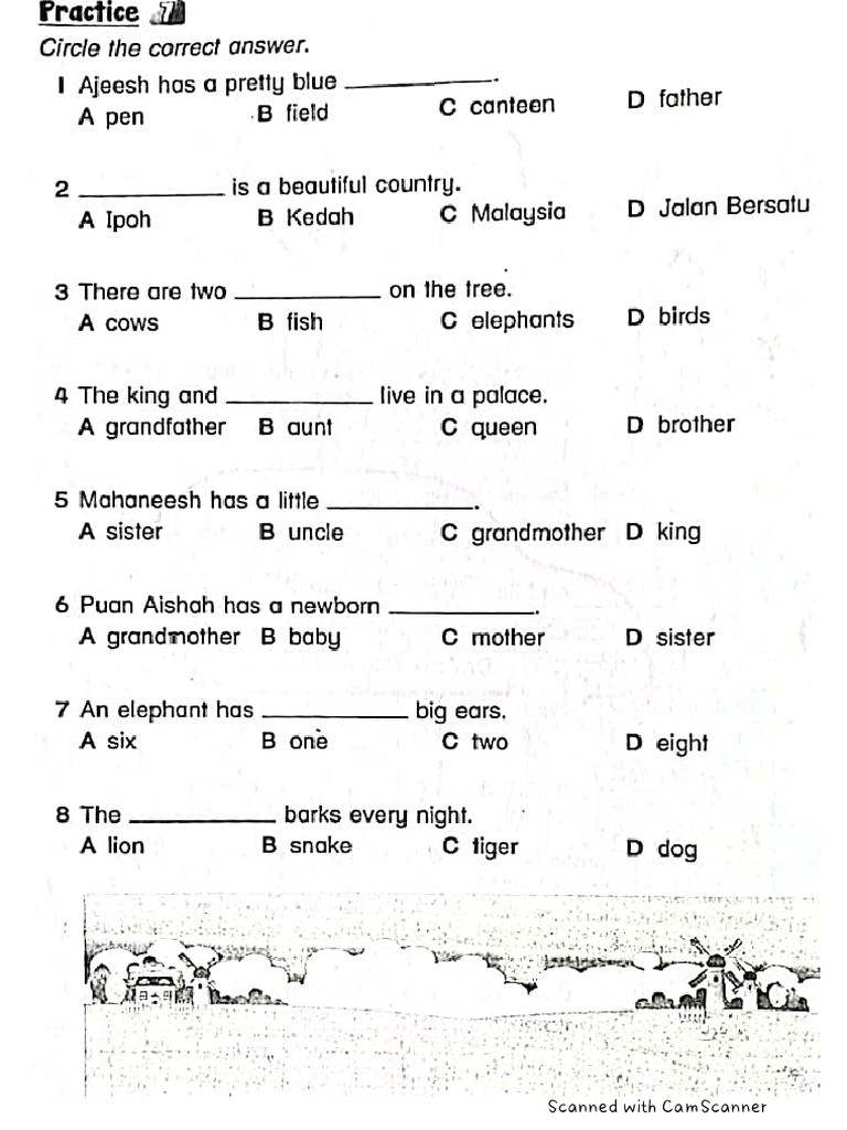 STD 1 English 13 Jan (Set1) | PDF