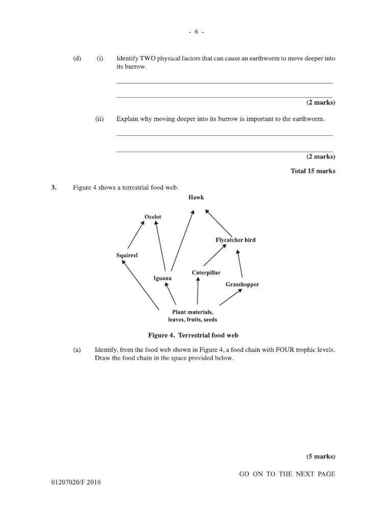 Feeding Relationships 8 | PDF