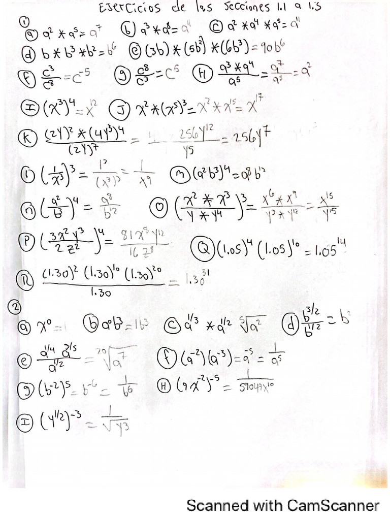 Ejercicio Anexo 1 Matemática | PDF