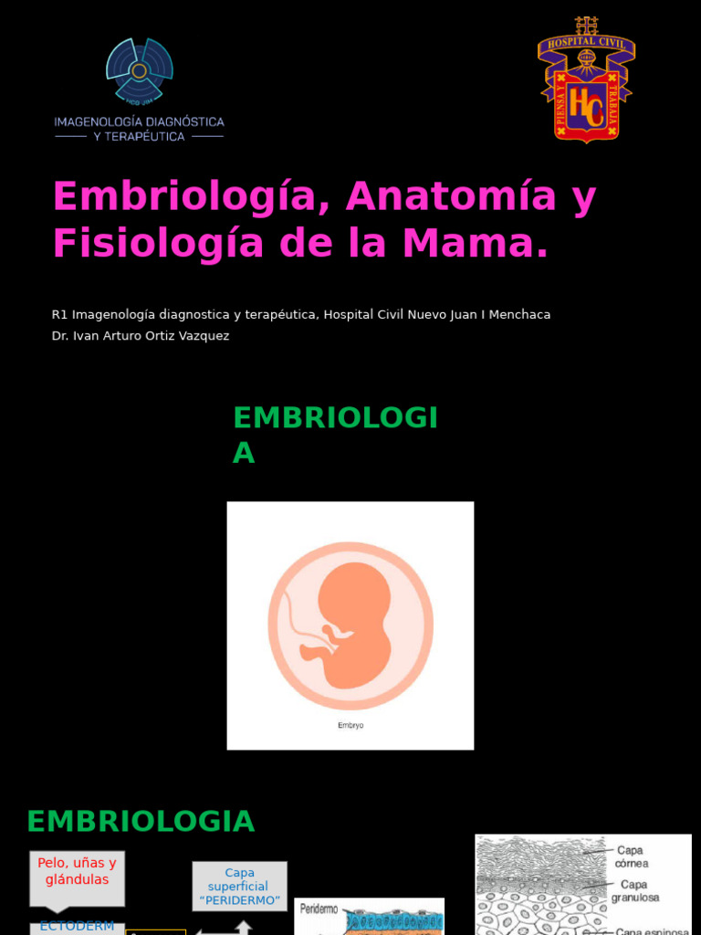 Anatomía de La Mama | PDF