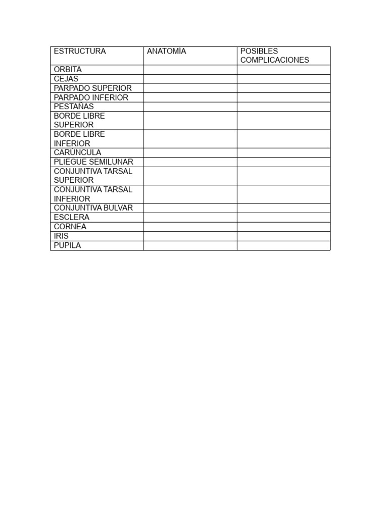 Tabla de Orbita, Anexos y Segmento Anterior | PDF