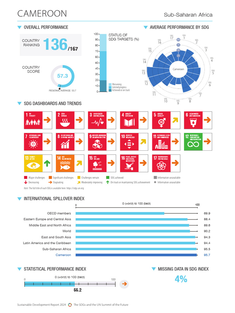 SDR 2024 Cameroon | PDF