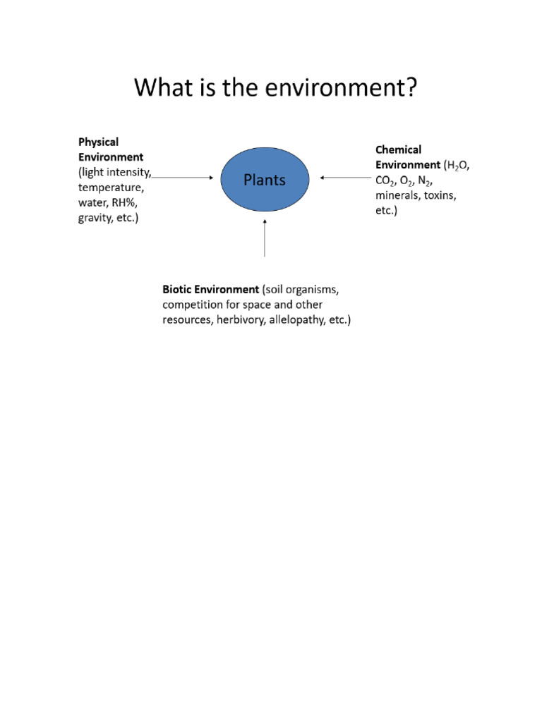Lecture Material | PDF