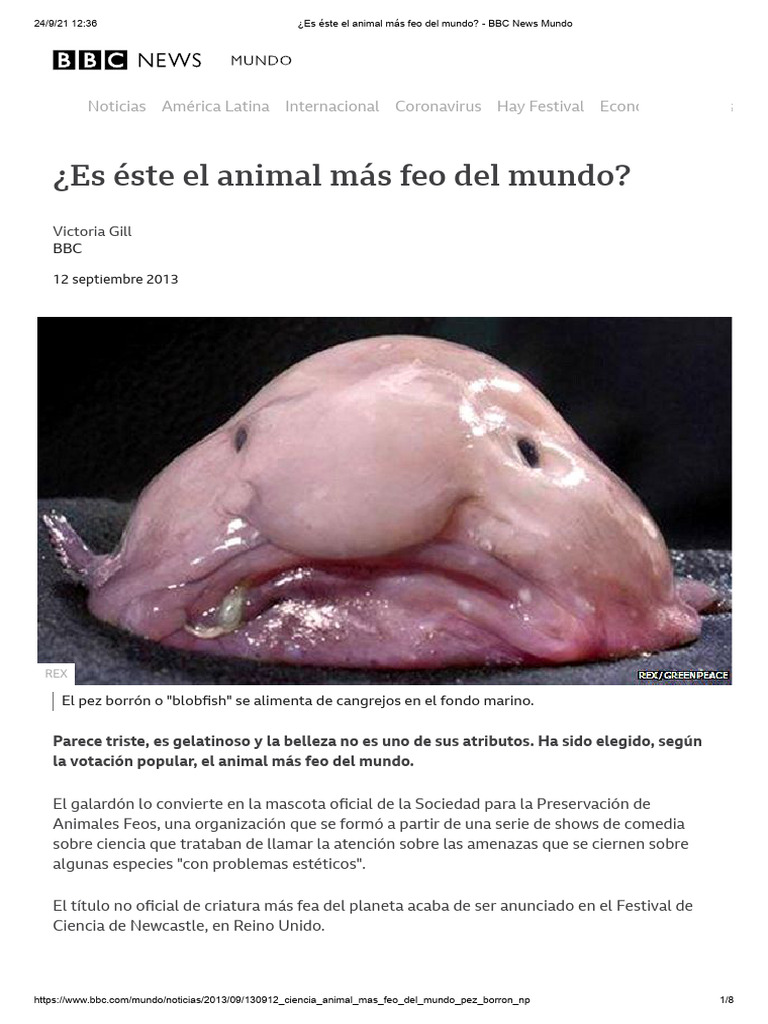 El Pez Borrón, El Animal Más Feo Del Mundo, BBC, 2013 | PDF | Adultos ...
