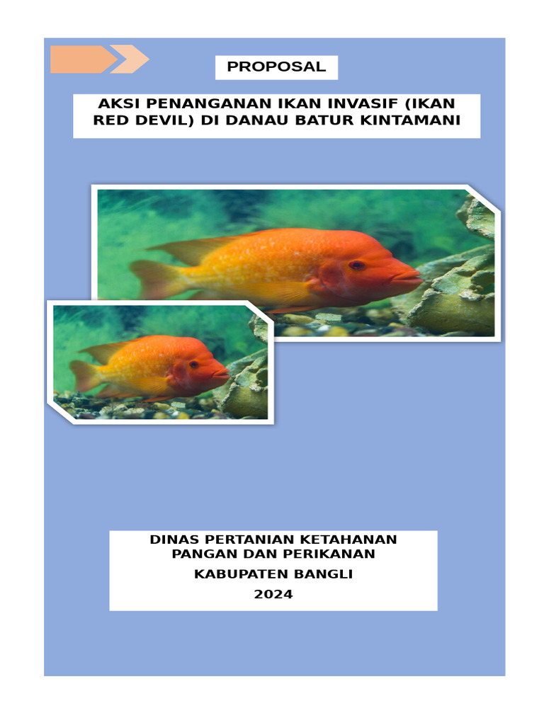 Proposal Sponsor Penanganan Red Devil Baru | PDF