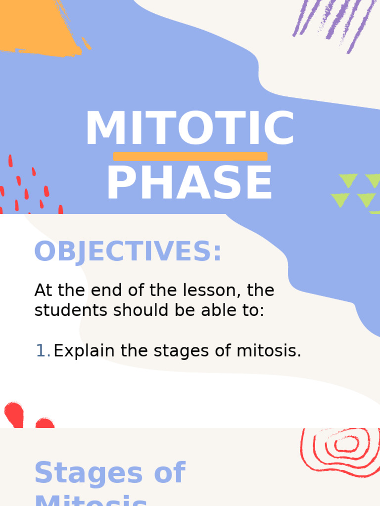 Mitotic Phase | PDF