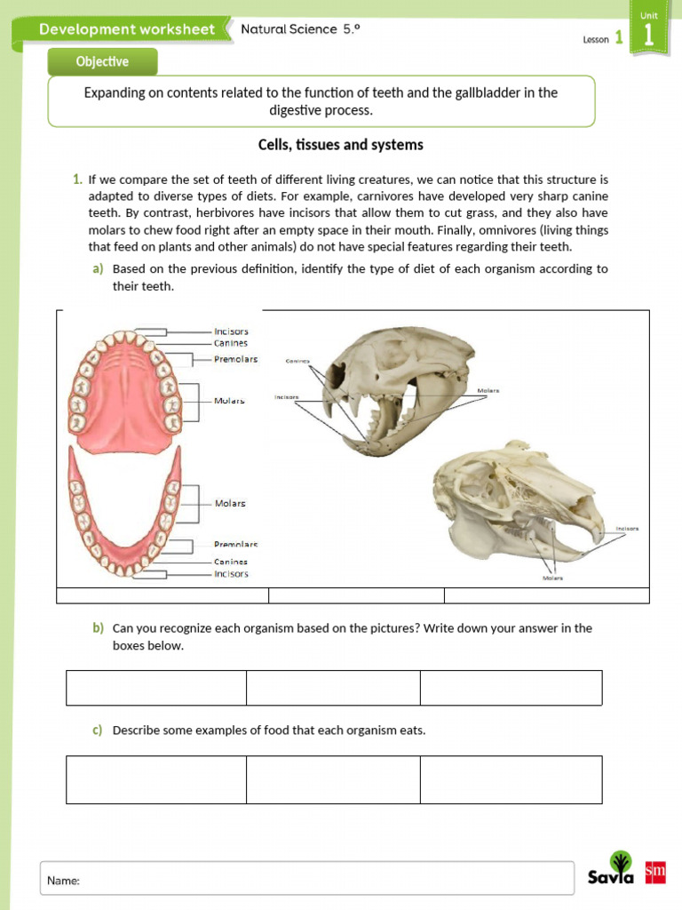 Ampliacion U1 l1 | PDF