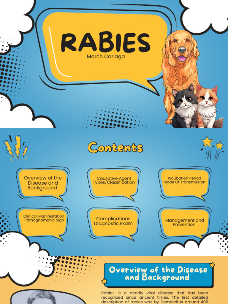 Rabies | PDF
