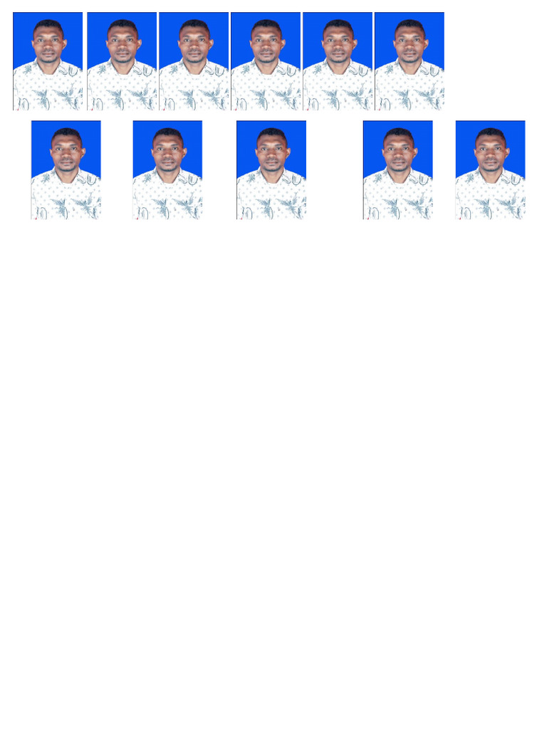 Format Pas Foto | PDF