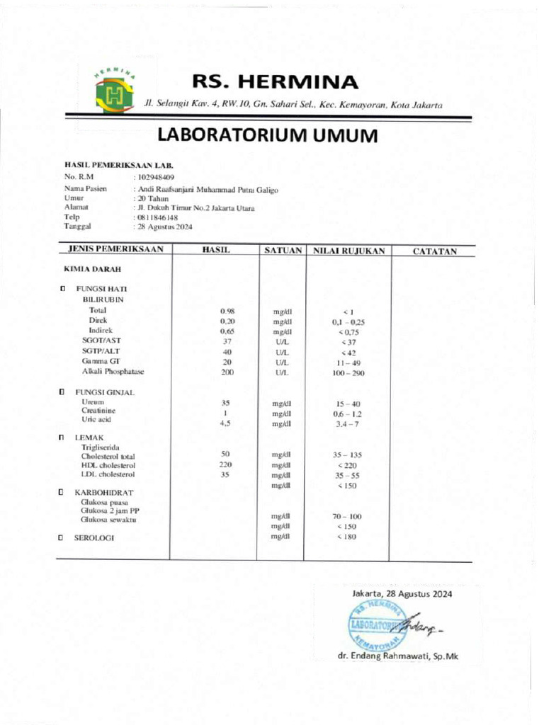 Scan Hasil Lab Andi Raaf | PDF