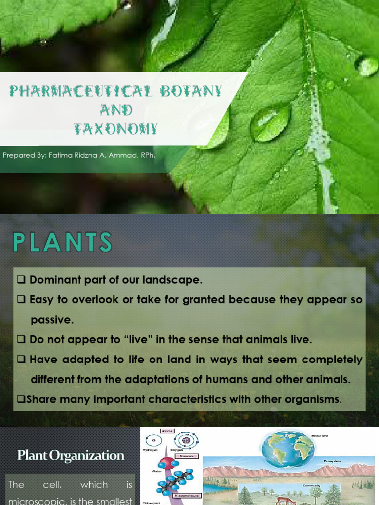 Botany TOPIC 2 | PDF