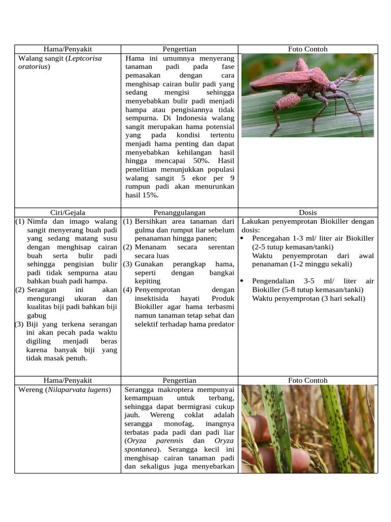 Hama Padi Manual BOOK | PDF