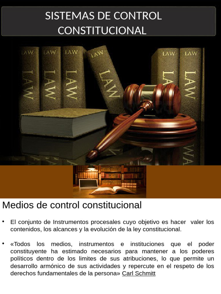 11. Sistemas de Control Constitucional | PDF