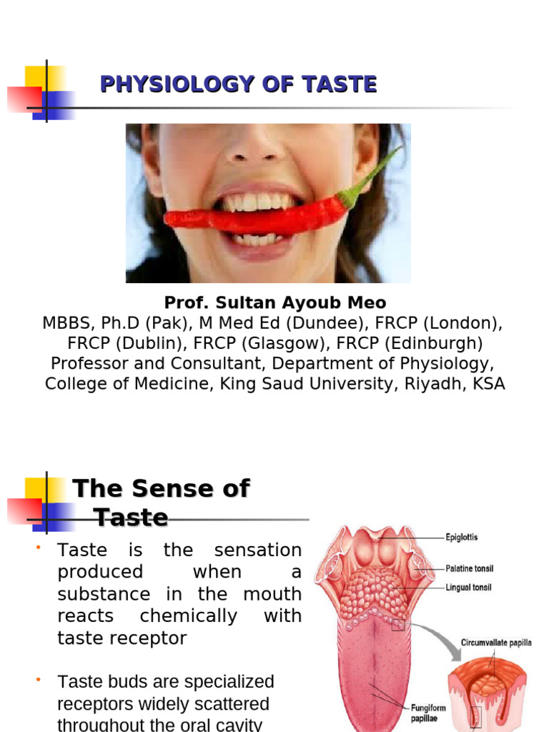 Physiology of Taste Overview | PDF | Taste | Foreign Language Studies