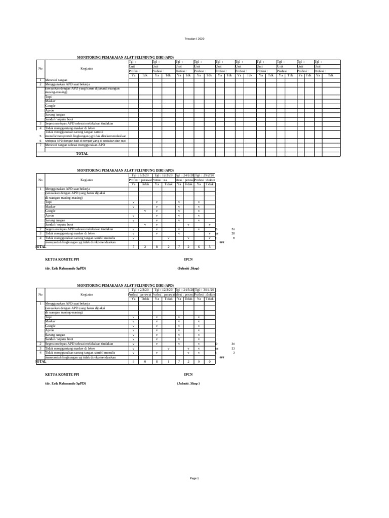 Form Audit Apd. | PDF