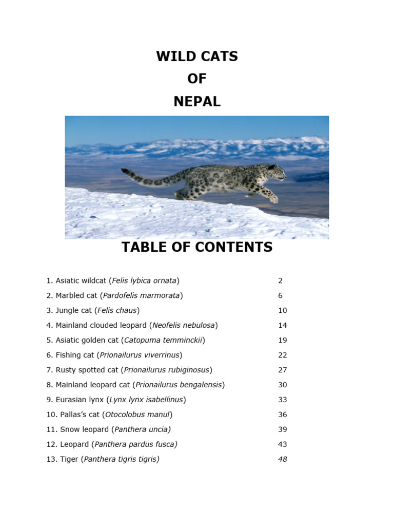 Wild CATS of Nepal | PDF | Leopard | Felidae