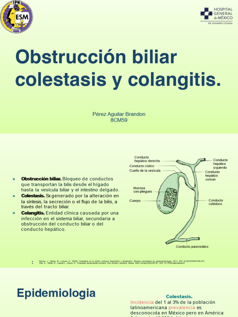 Obstrucción Biliar | PDF