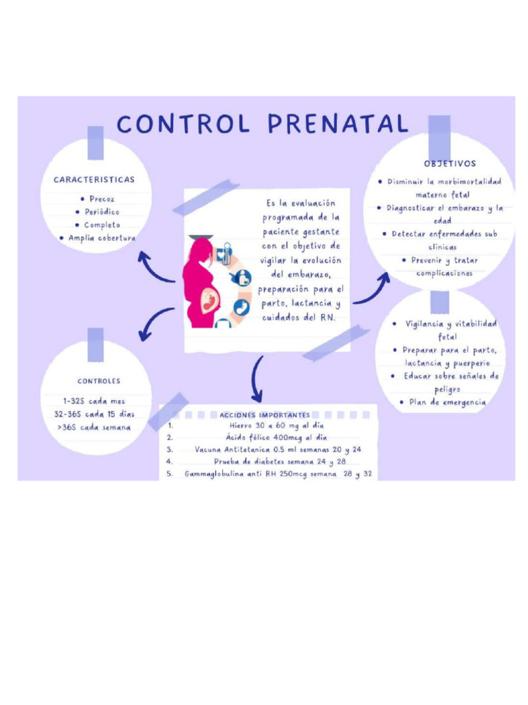 Control Prenatal | PDF