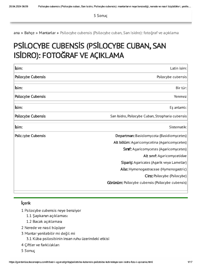 Psilocybe Cubensis (Psilocybe Cuban, Sa | PDF