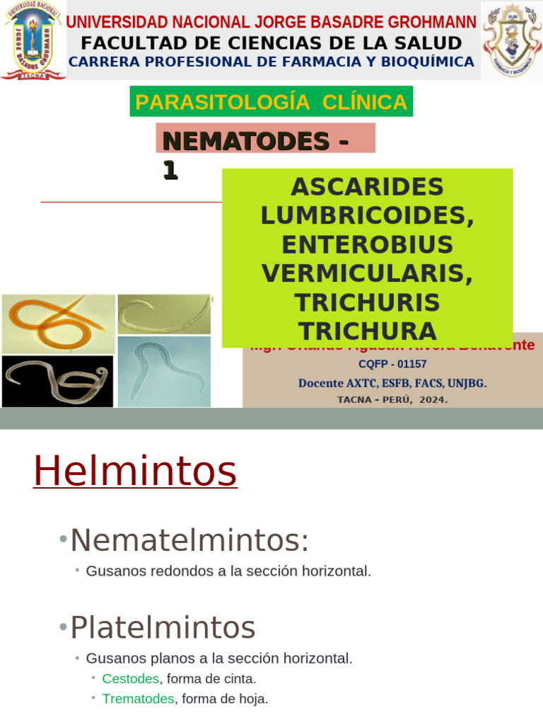 Nematodes 1-2024 | PDF