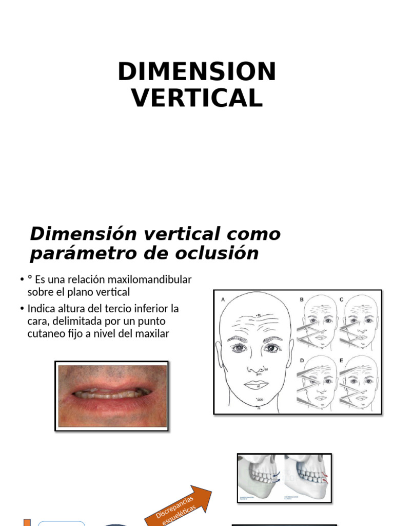 Dimension Vertical | PDF