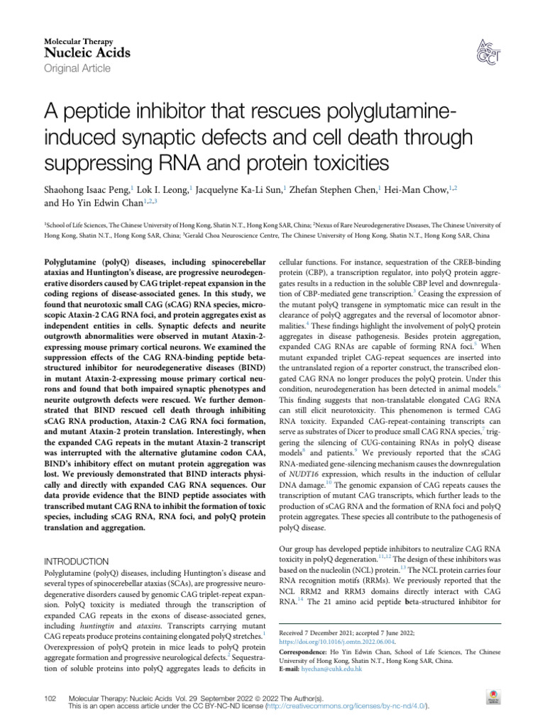 A Peptide Inhibitor That Rescues Polyglutamine-Induced Synaptic Defects ...