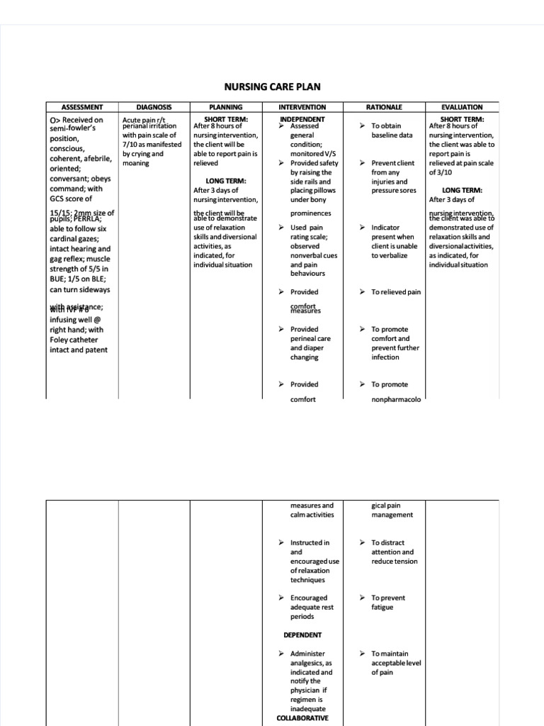 Nursing Care Plan | PDF