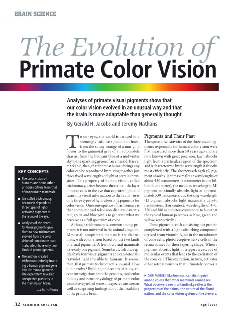 Evolution of Primate Colour Vision | PDF
