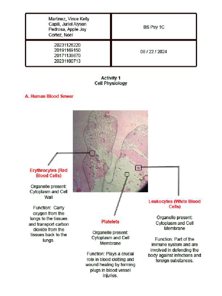 Red Blood Slayers - Laboratory Activity # 1 - Cell Physiology - PSY1C ...