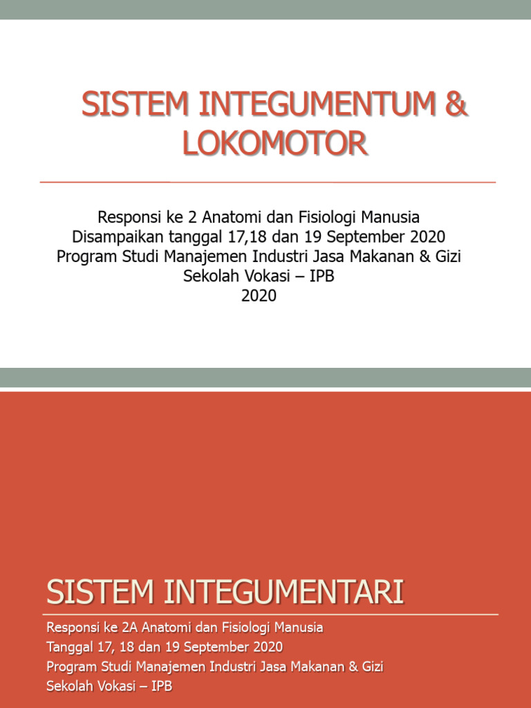Responsi 2 Anfis Integument Lokomotor | PDF