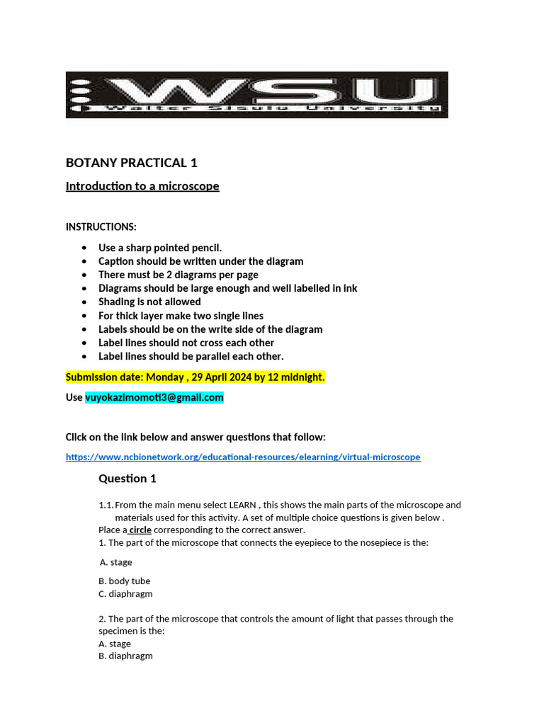 Introduction To The Light Microscope Practical 1 | PDF