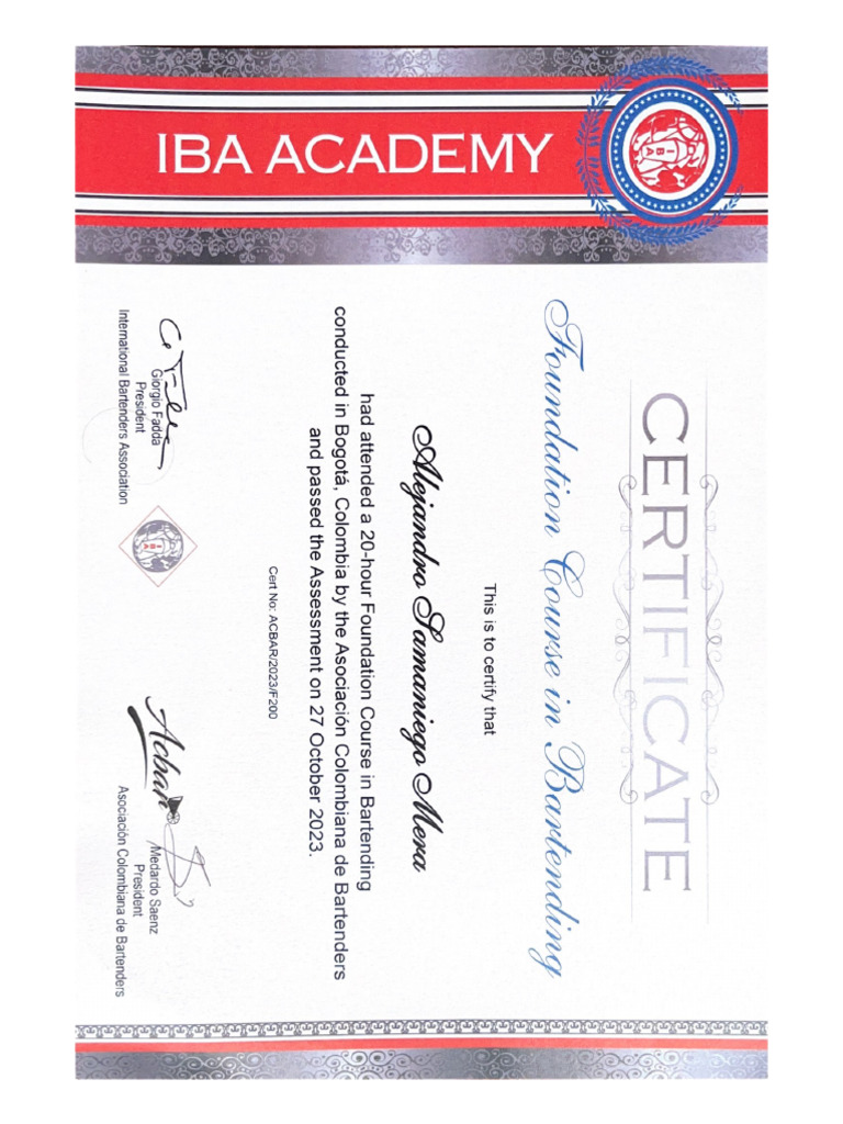 Iba Academy | PDF