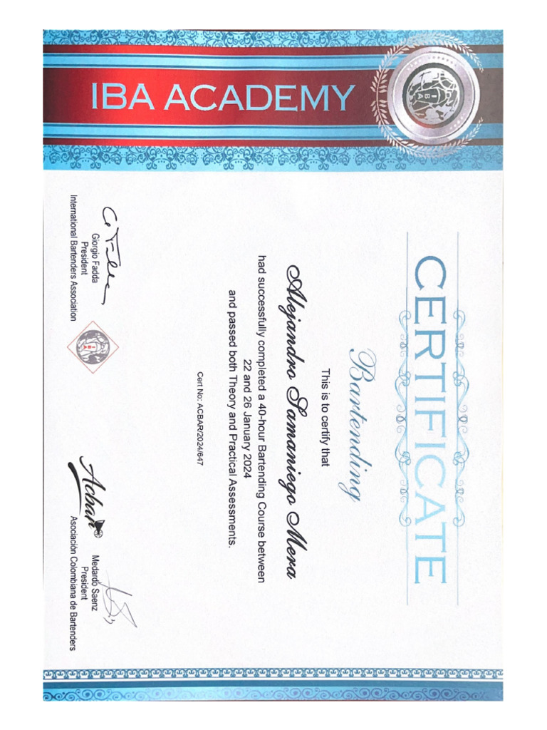 Iba Academy 3 | PDF