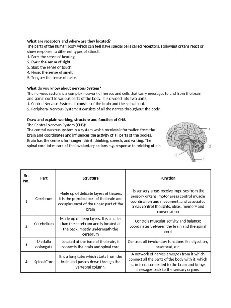 CHP 1 Book 8 New Get A Head Notes | PDF