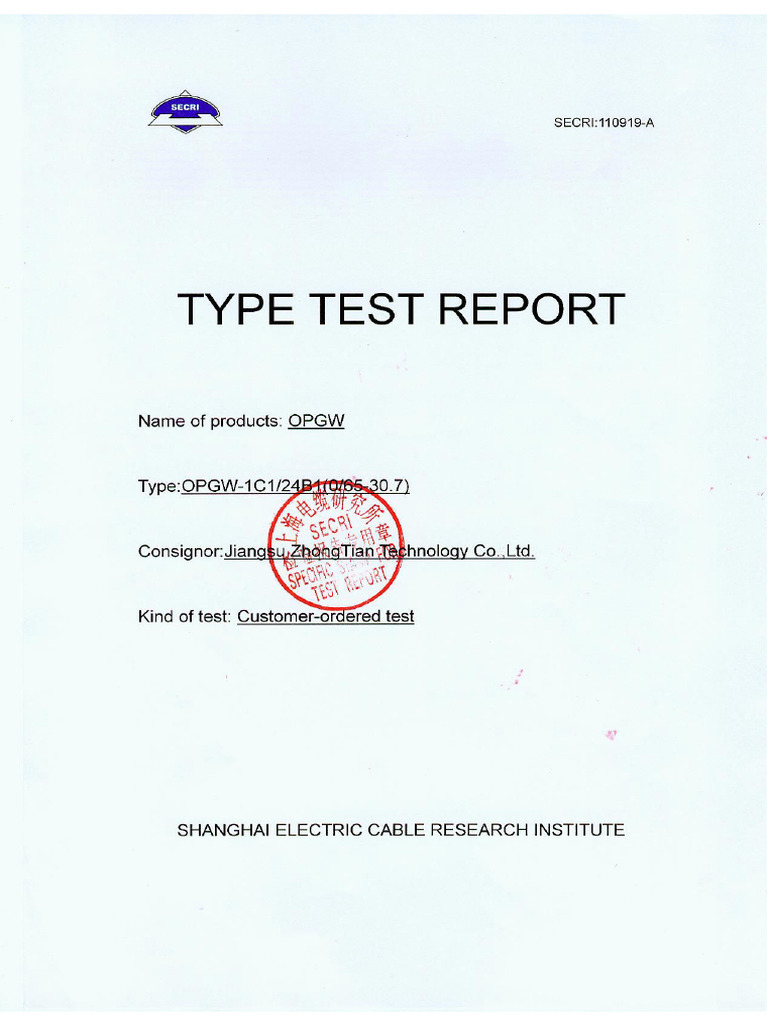 Type Test Report | PDF
