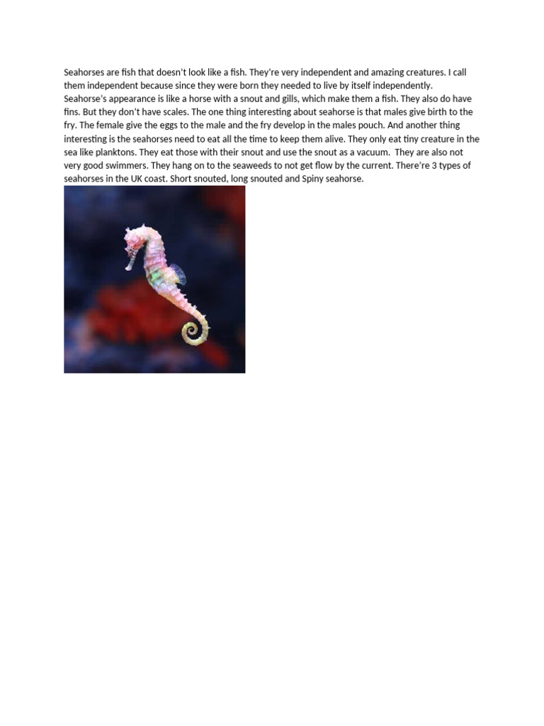 Seahorses | PDF