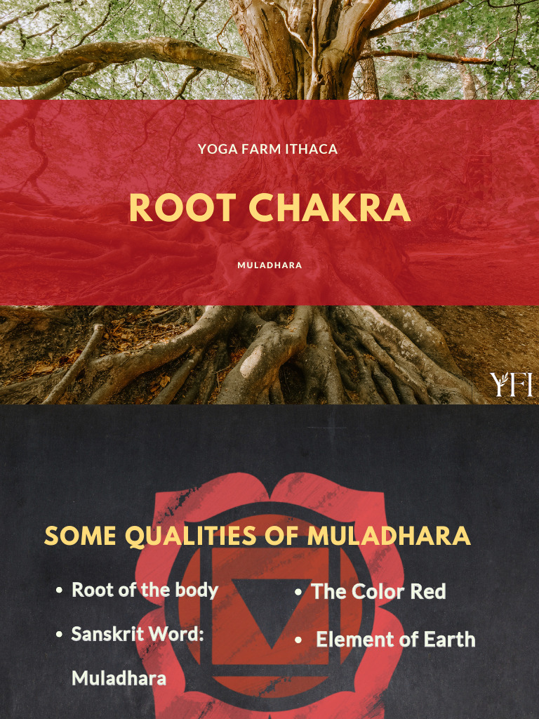 Kundalini Dance TT - Root Chakra Lecture Slides | PDF