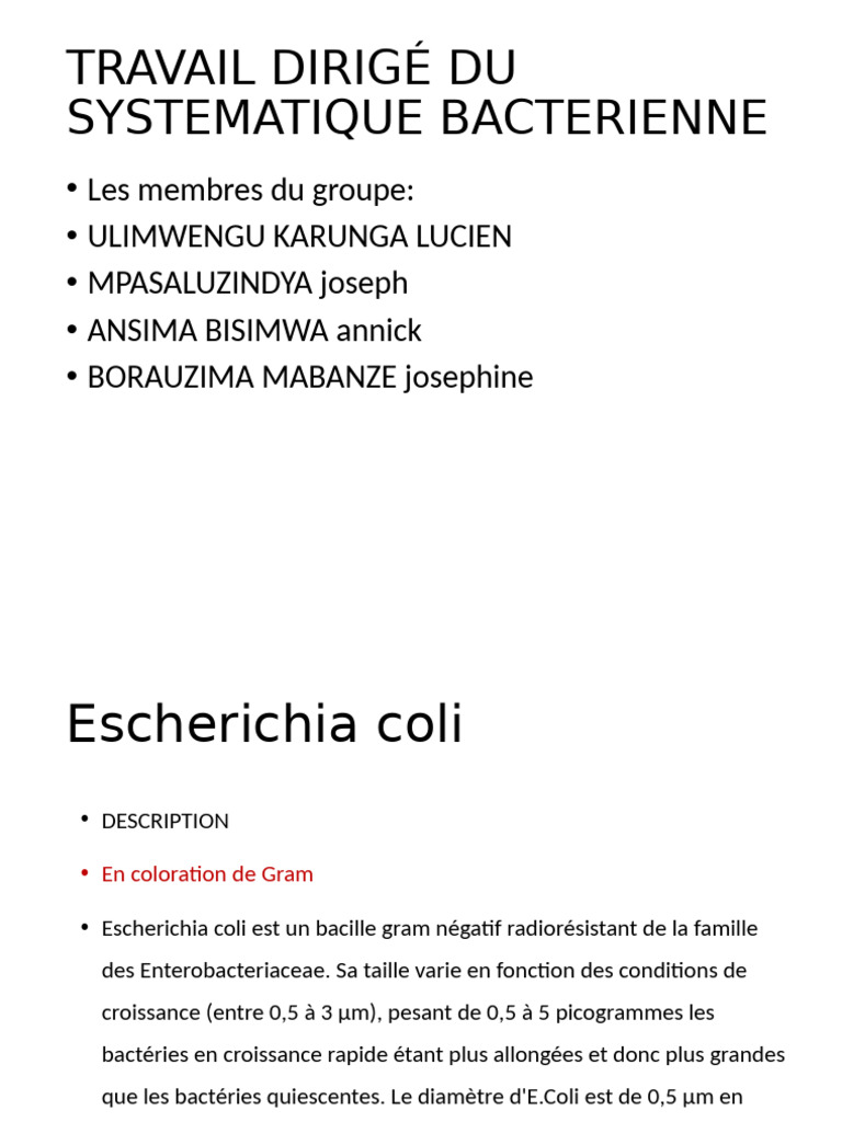 Escherichia Coli | PDF