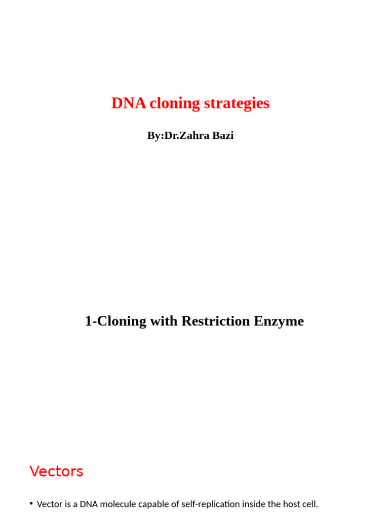 Cloning Strategies | PDF