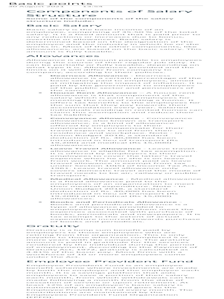 Company Audit Notes | PDF