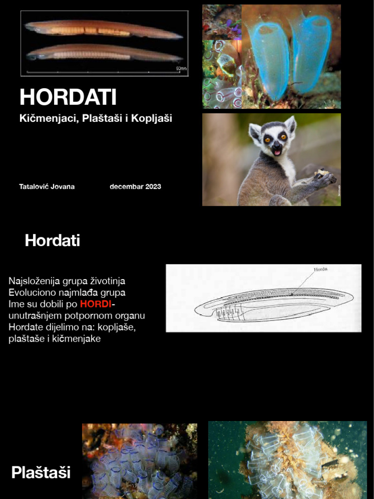 hordati | PDF