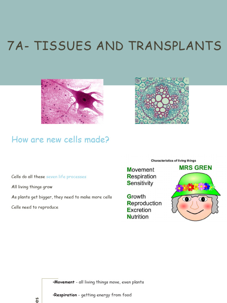 7ae - All Systems | PDF