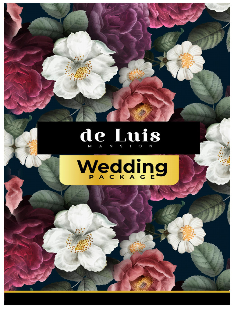 Package de Luis | PDF