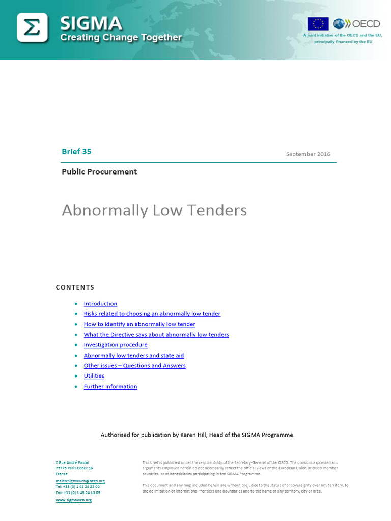 Public Procurement Policy Brief 35 200117 | PDF