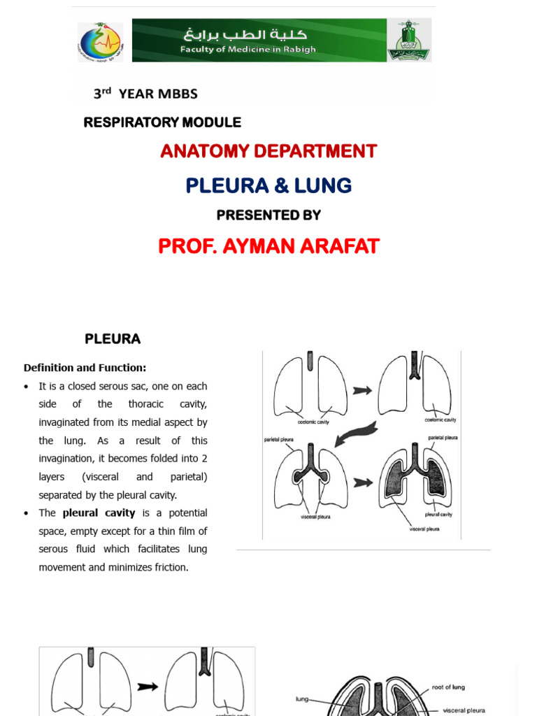 2 - Pleura & Lung | PDF