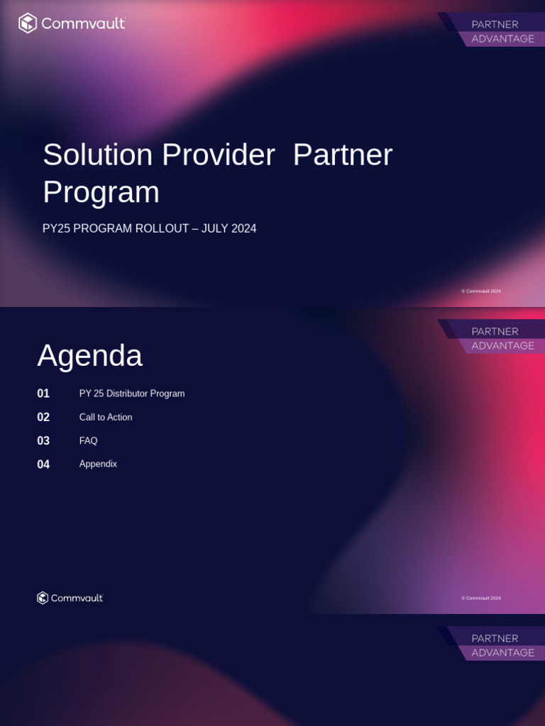 PY25 Partner Advantage Program - Solution Provider Executive Deck | PDF