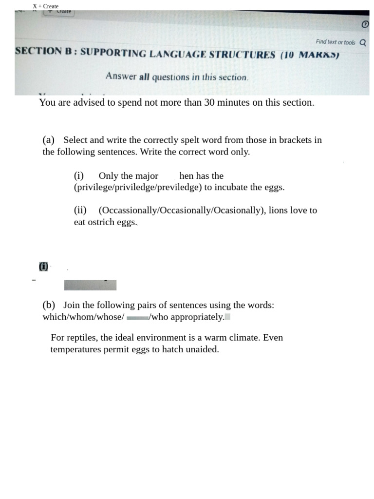 Lang Structures | PDF