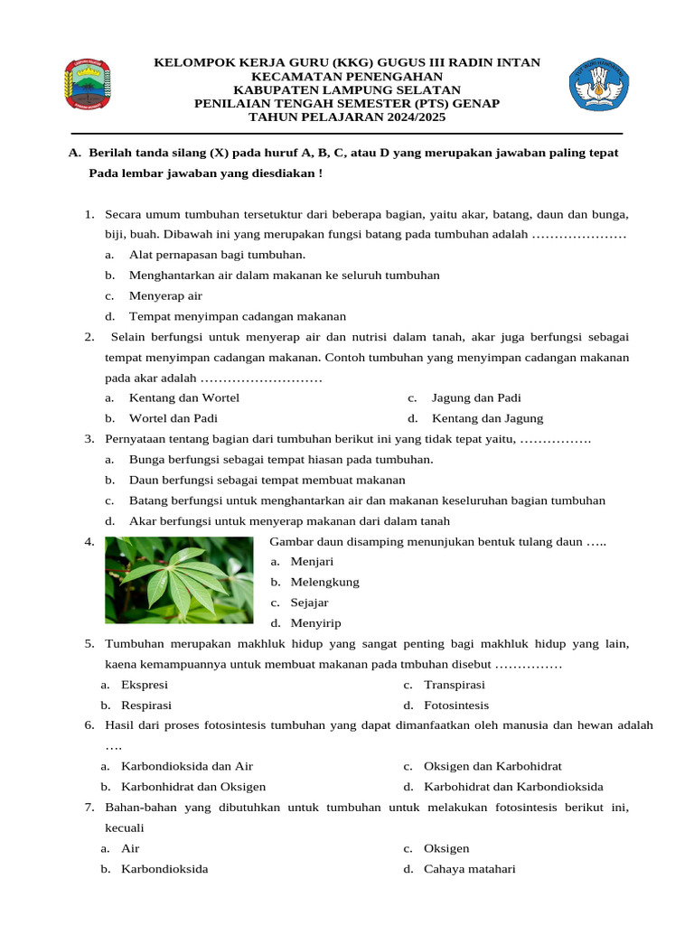 Kop Soal PTS Ganjil 2024-2025 | PDF