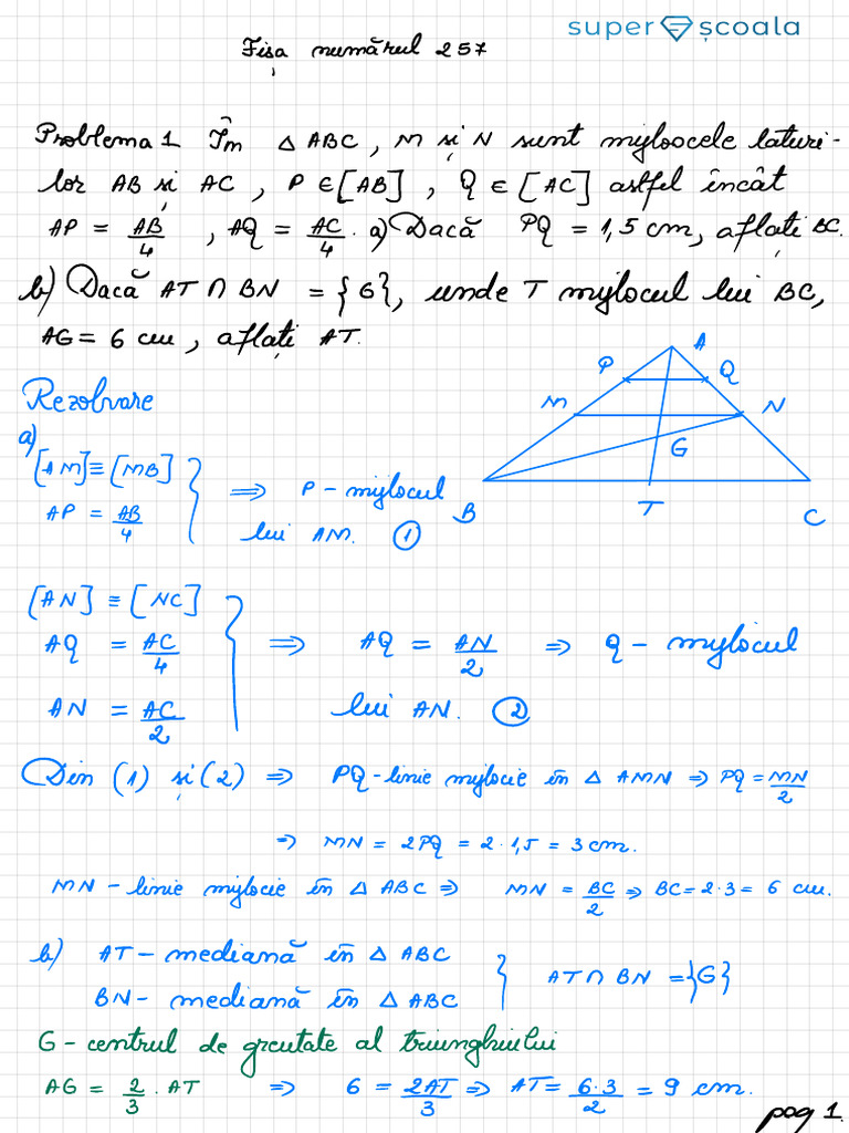 Fisa mate 257 rezolvare | PDF